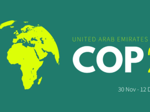 Ikshvaku Dynasty: Guardians of Andhra's Buddhist Legacy | Edvnce